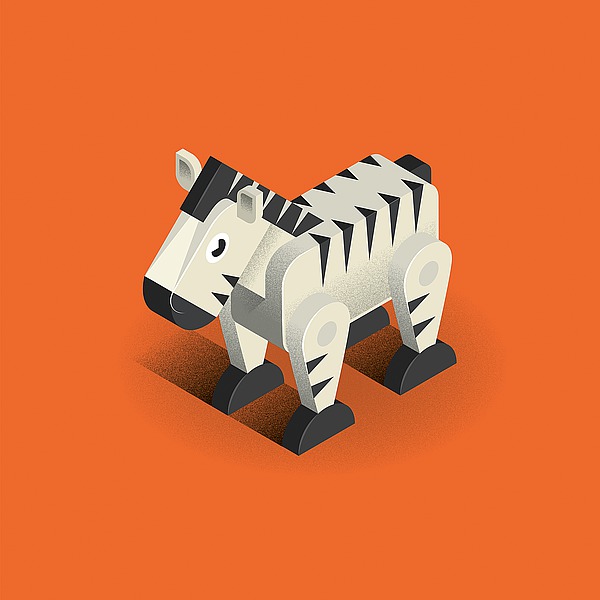 Zebra – Image Conscious