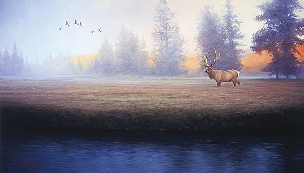 Morning Splendor – Image Conscious