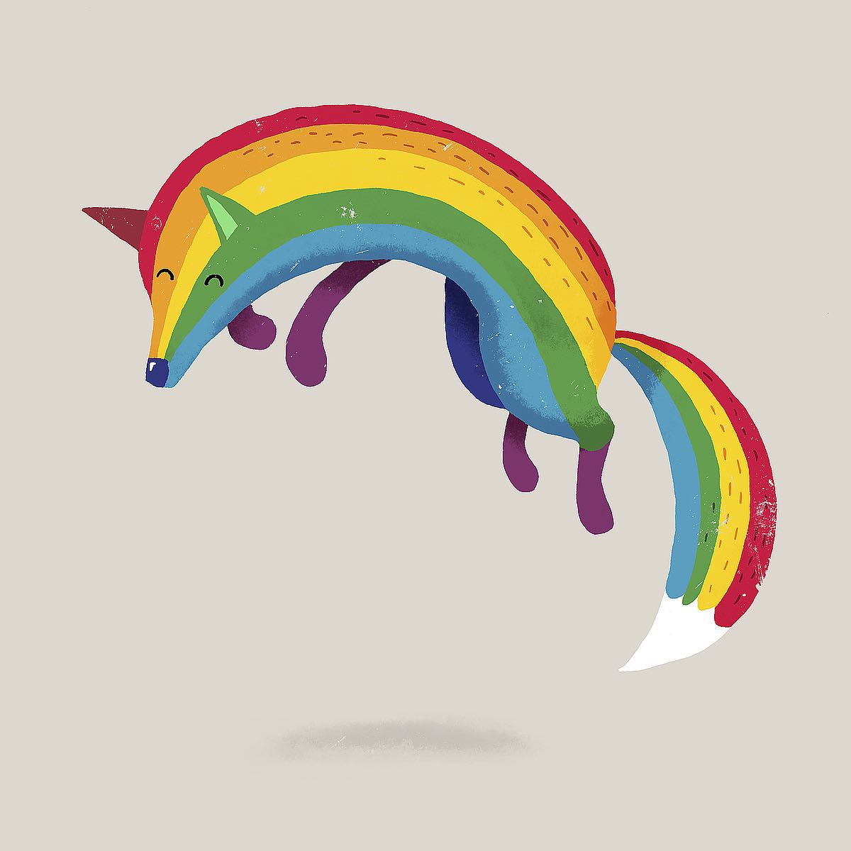 Rainbow Fox – Image Conscious