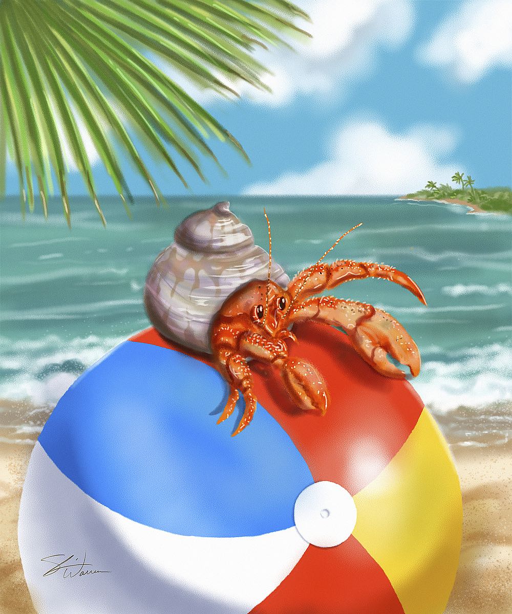 Hermit Crab On Beach