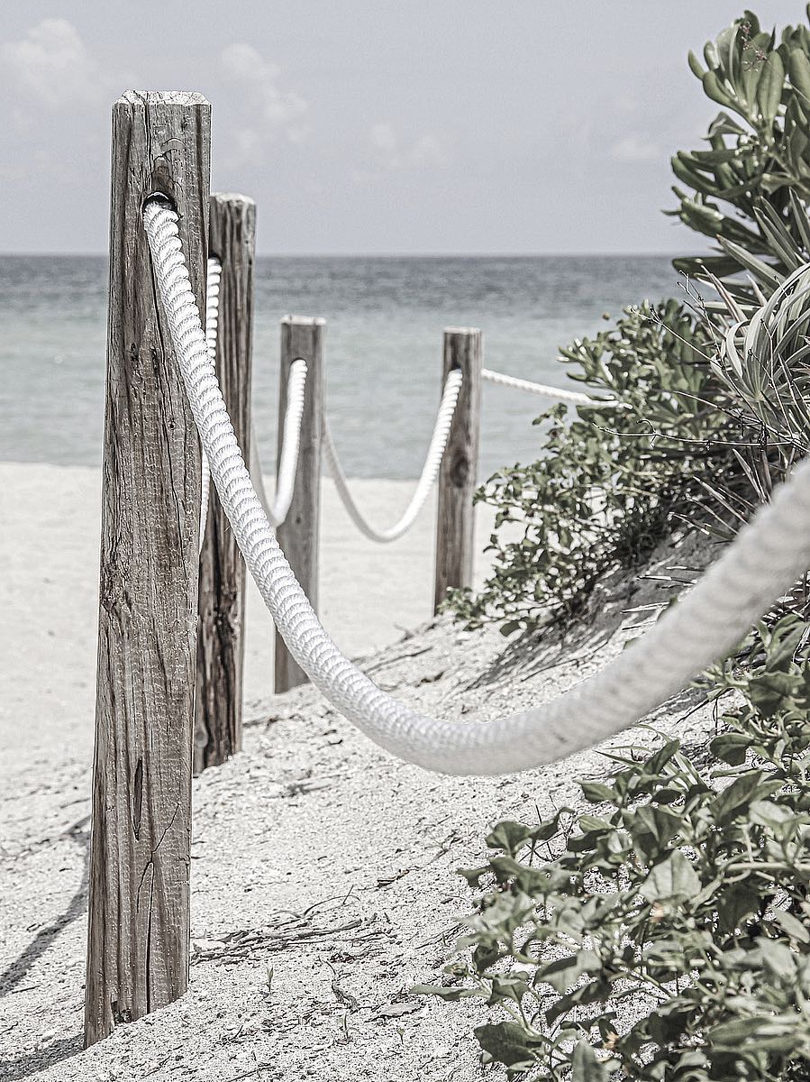 Beach Path with Ropes – Image Conscious