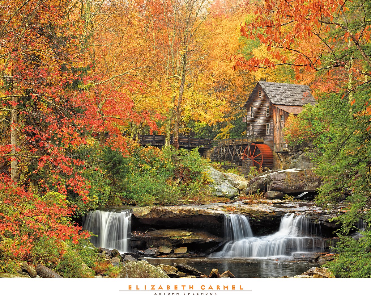 Autumn Splendor – Image Conscious