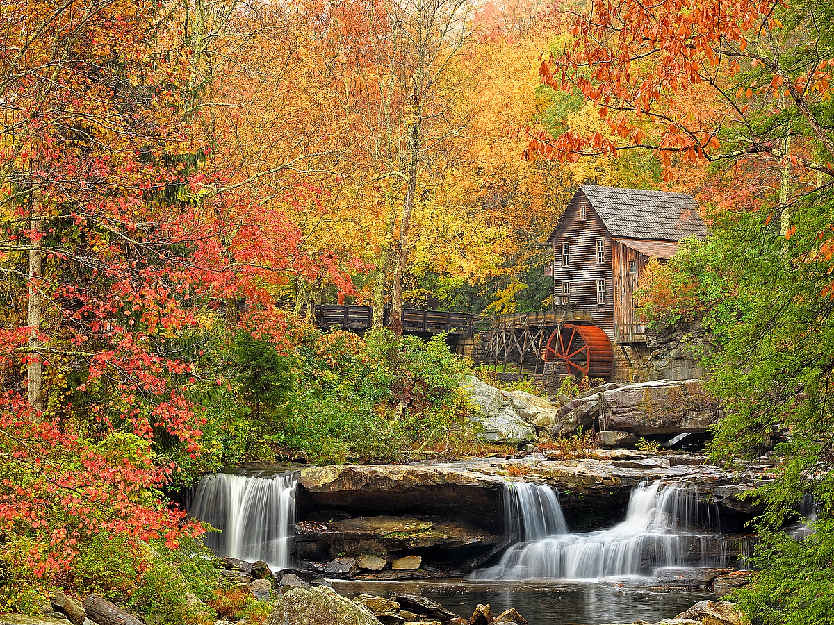 Autumn Splendor – Image Conscious